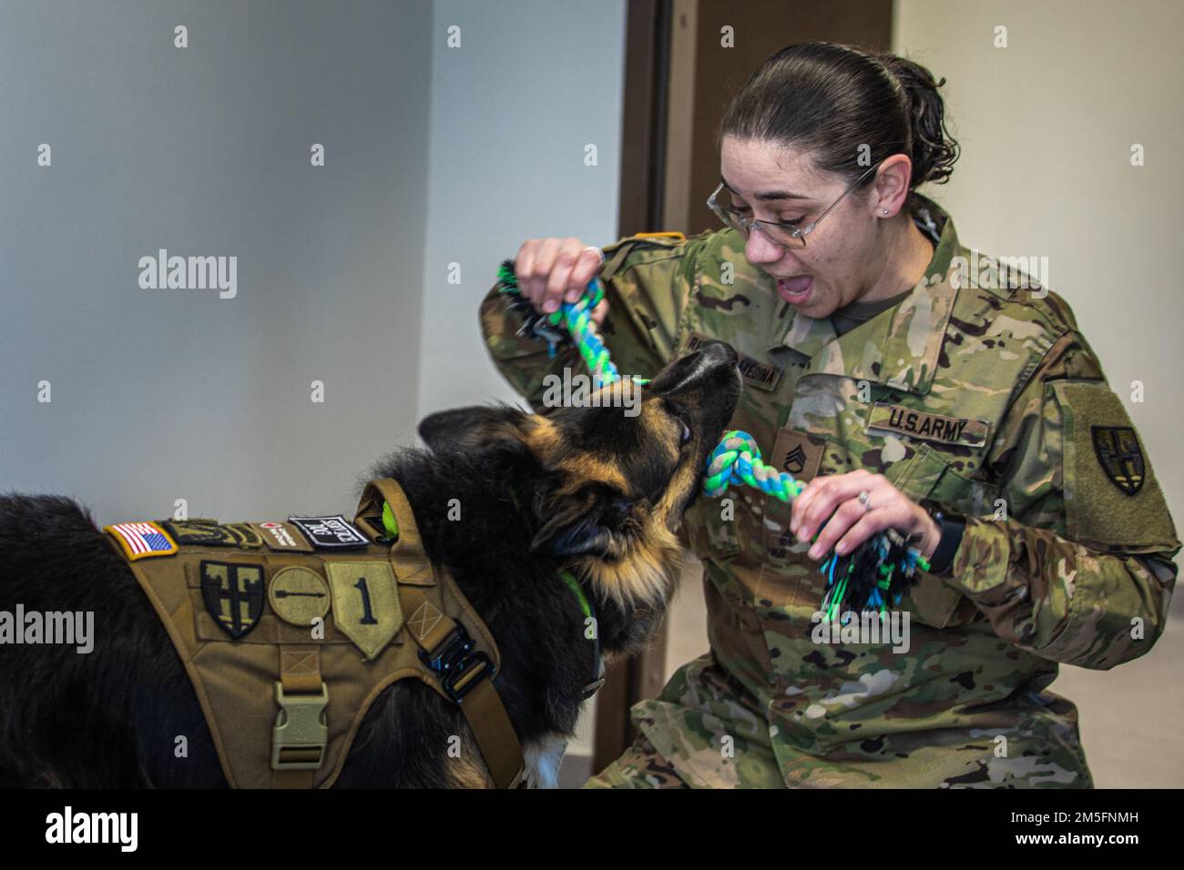 Bear, an Australian-German shepherd, plays tug-of-war with Staff Sgt ...