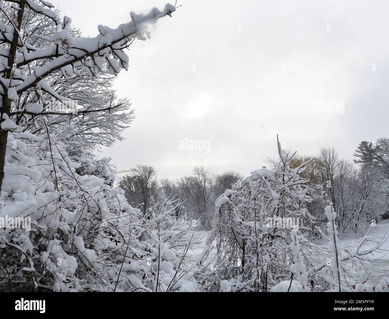 Canadian snow scene the week before Christmas. Heavy snow clouds lift ...