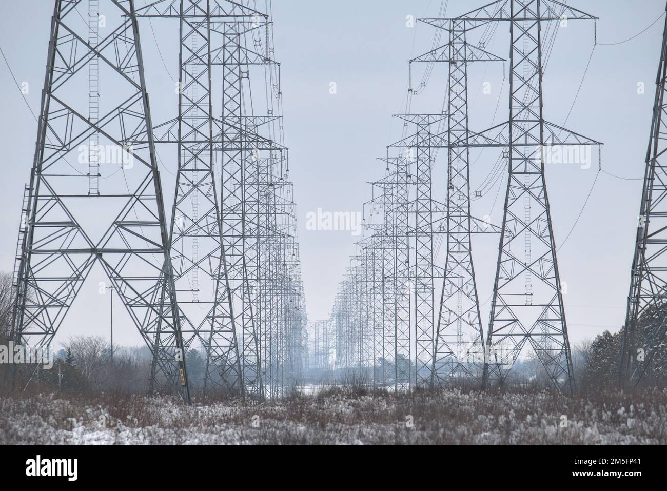 Two rows of giant transmission towers snaking off into the distance in ...