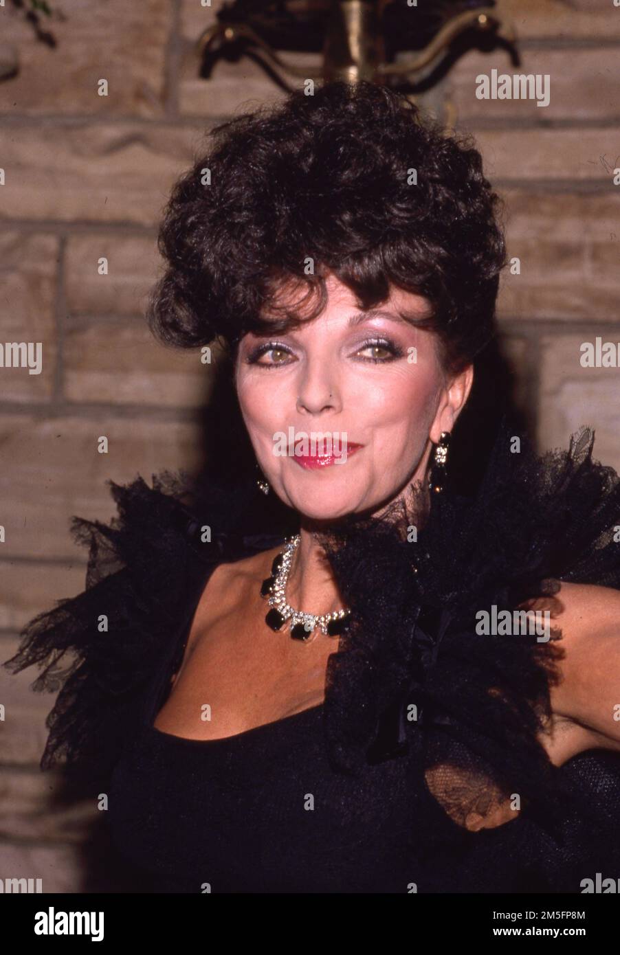Joan Collins Circa 1980's Credit: Ralph Dominguez/MediaPunch Stock ...