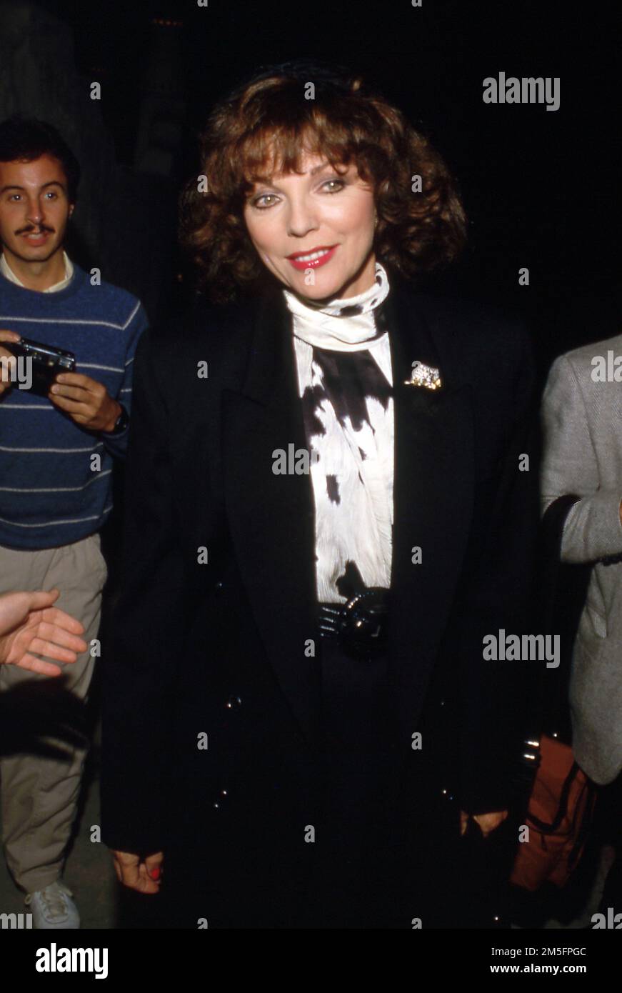 Joan Collins Circa 1980's Credit: Ralph Dominguez/MediaPunch Stock ...