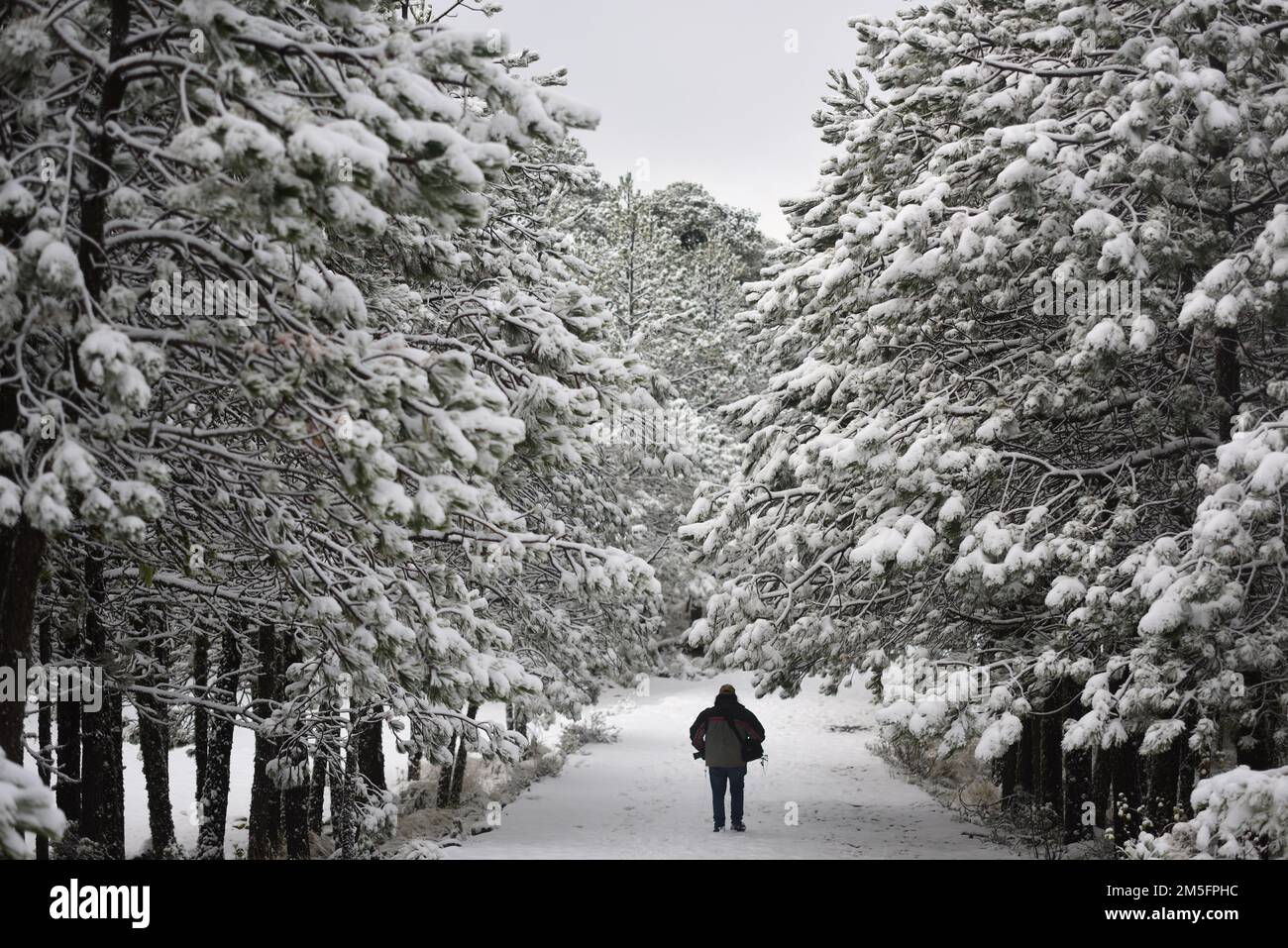 December 26, 2022, Perote, Mexico: People took advantage of the first ...
