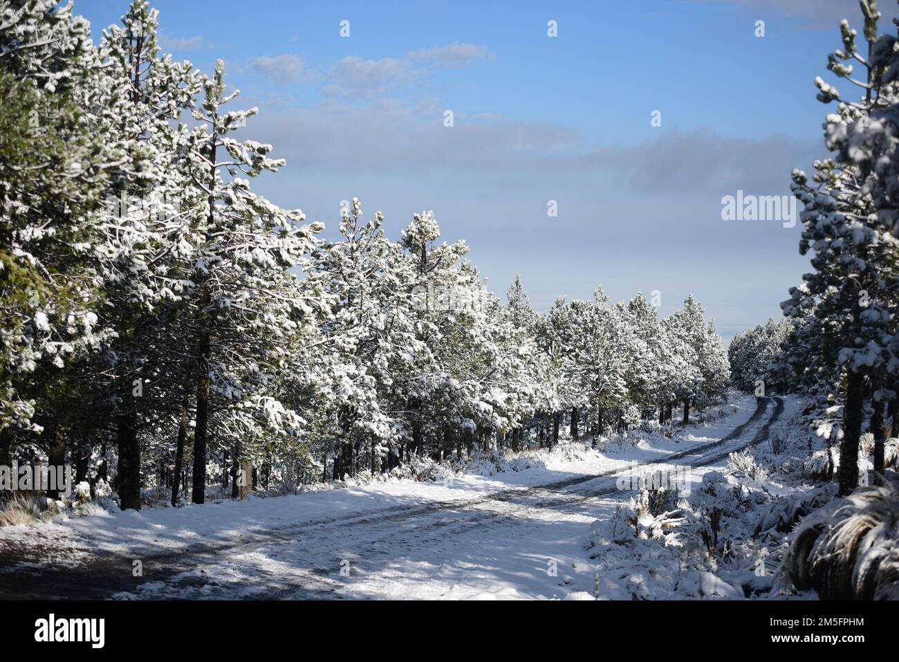 December 26, 2022, Perote, Mexico: People took advantage of the first ...