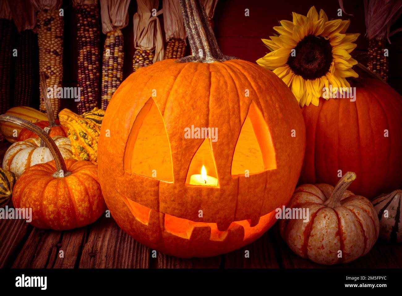 Happy Halloween Carved Pumpkin Still Life Stock Photo - Alamy