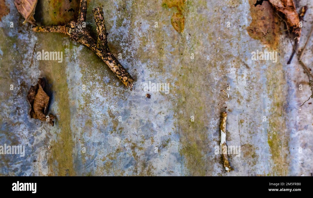 rusty zinc texture as background Stock Photo - Alamy