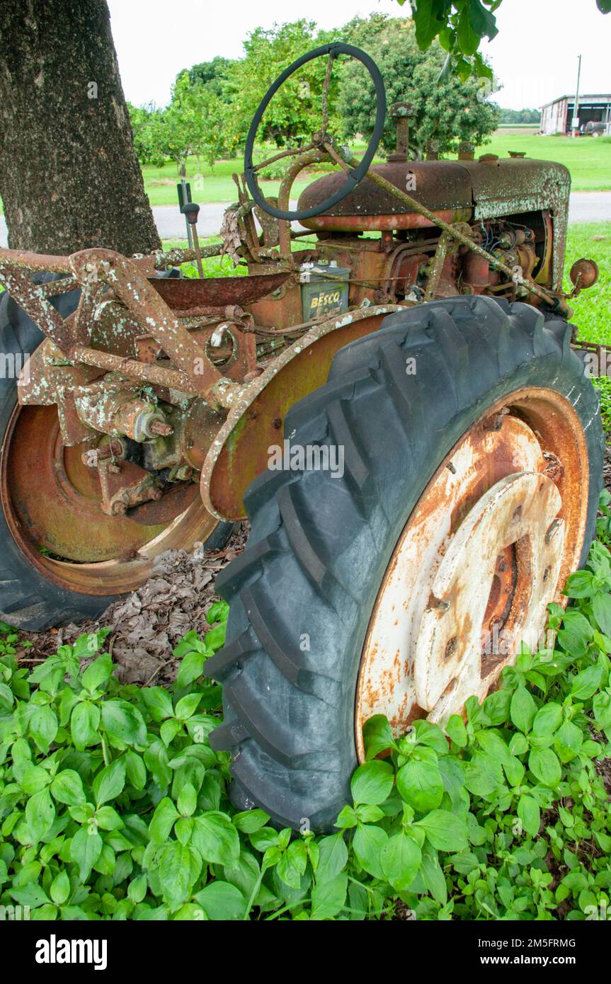 Old Tractor in field, Ingham, Queensland, Australia Stock Photo - Alamy