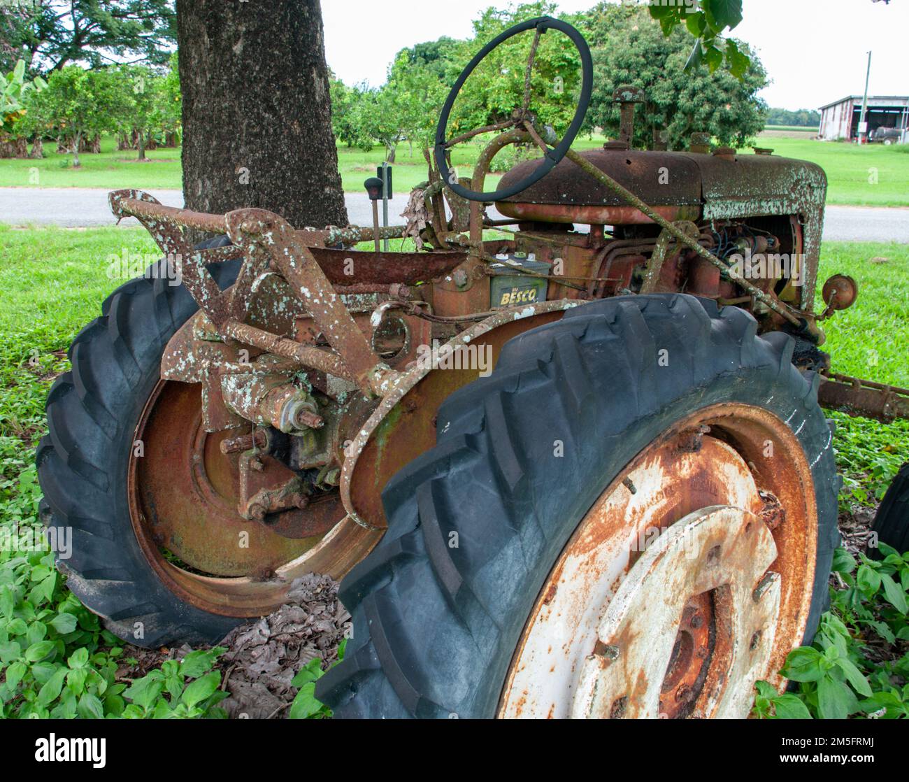Old Tractor in field, Ingham, Queensland, Australia Stock Photo - Alamy