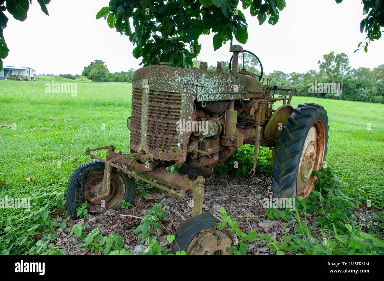 Old Tractor in field, Ingham, Queensland, Australia Stock Photo - Alamy