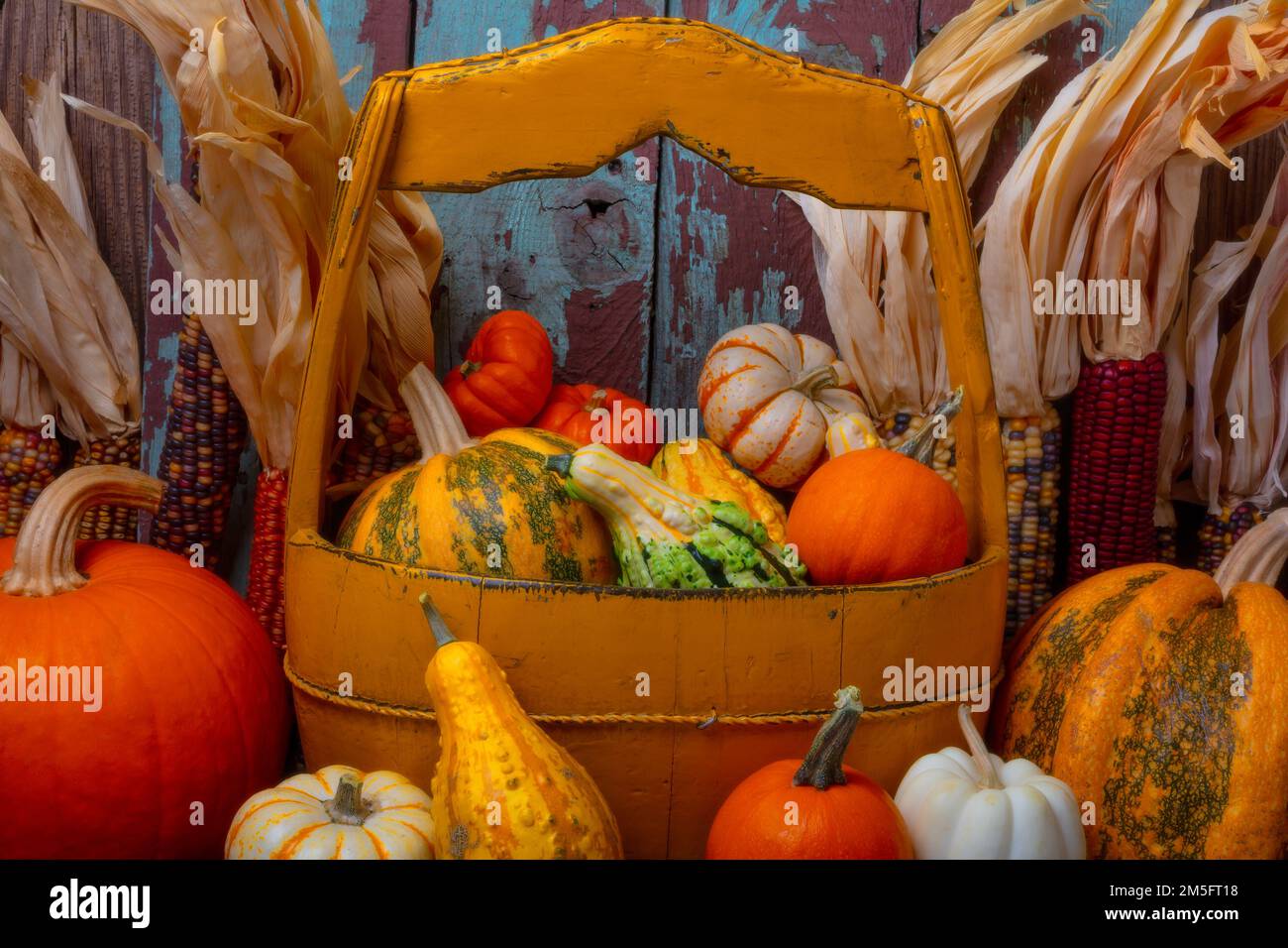 Yellow Bucket With Autumn Harvest Still Life Stock Photo - Alamy