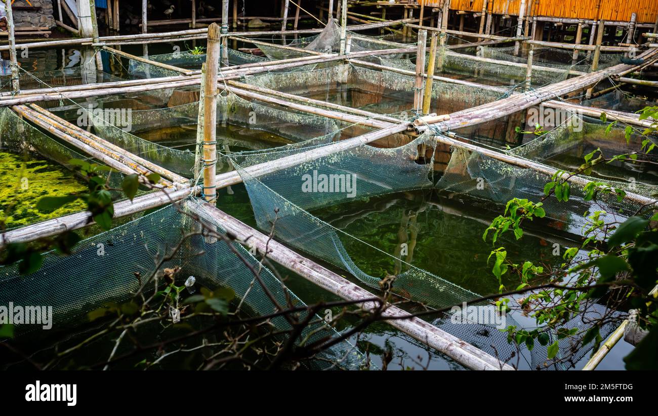 traditional fish farm on lake tondano made of bamboo Stock Photo - Alamy