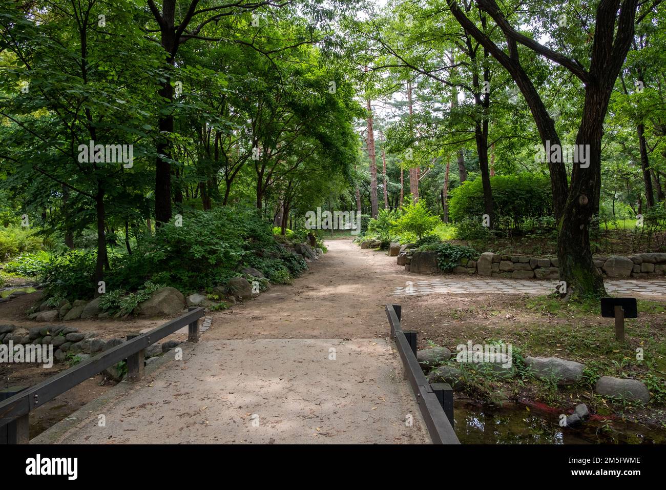 Walking path with tree along the way. Seoul Forest in Seoul, South ...