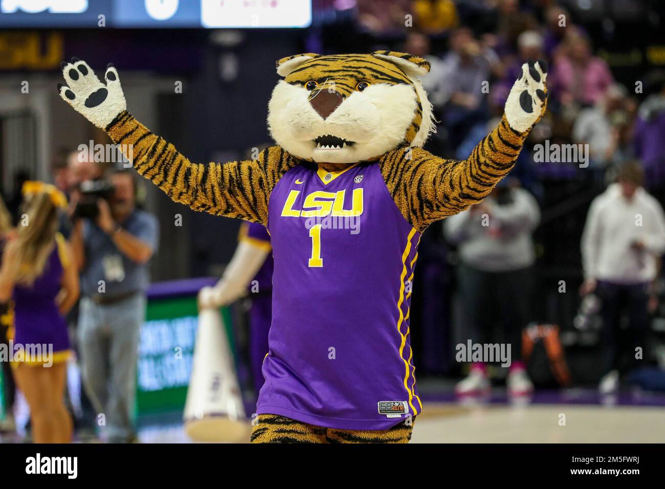 Razorbacks mascot hi-res stock photography and images - Alamy
