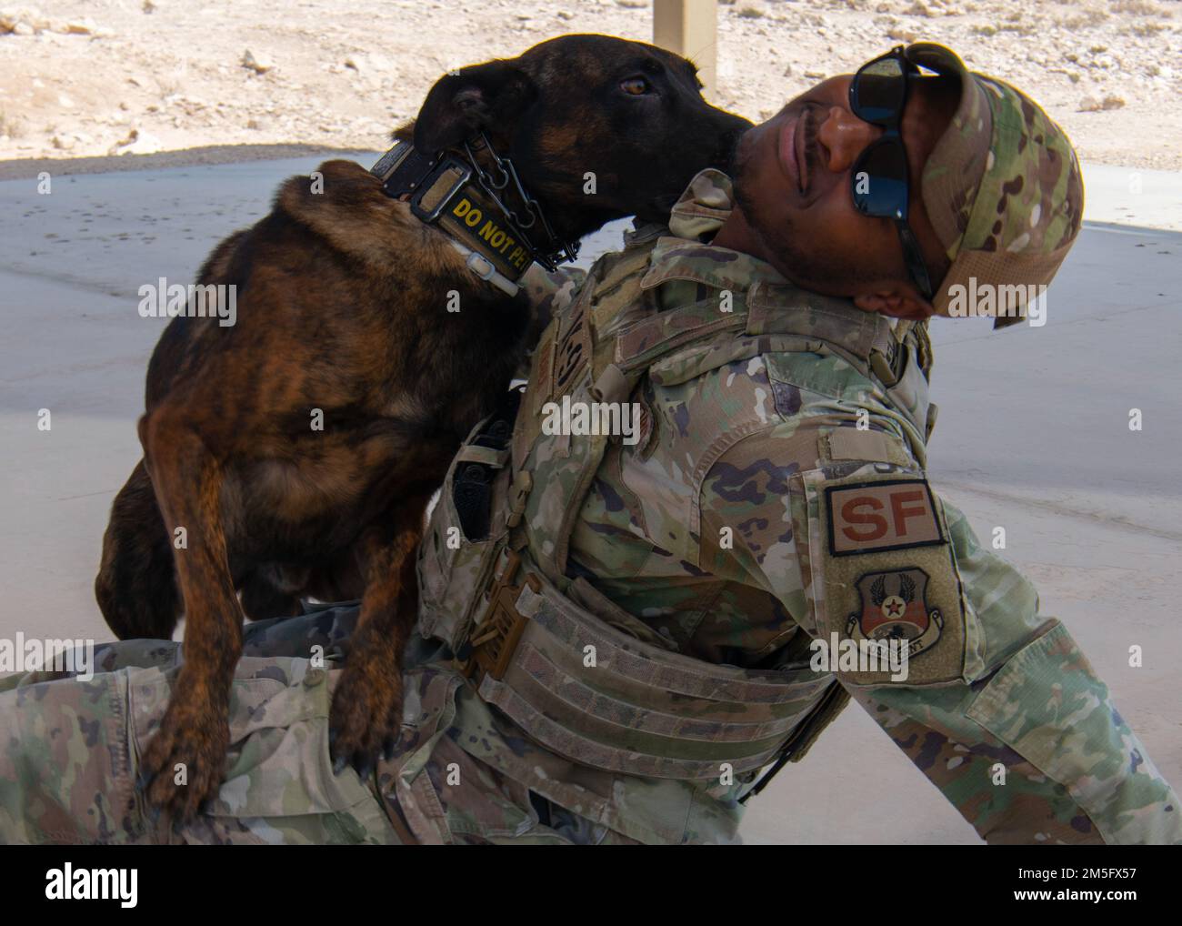 A U.S. Air Force military working dog assigned to the 379th ...