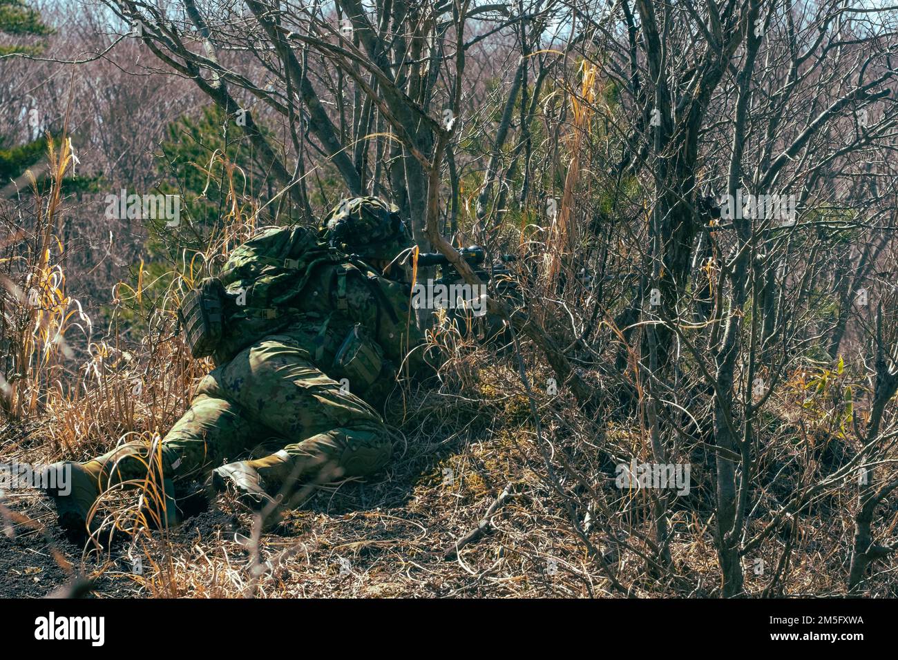 A solider with the 1st Amphibious Rapid Deployment Regiment (1ARDR ...