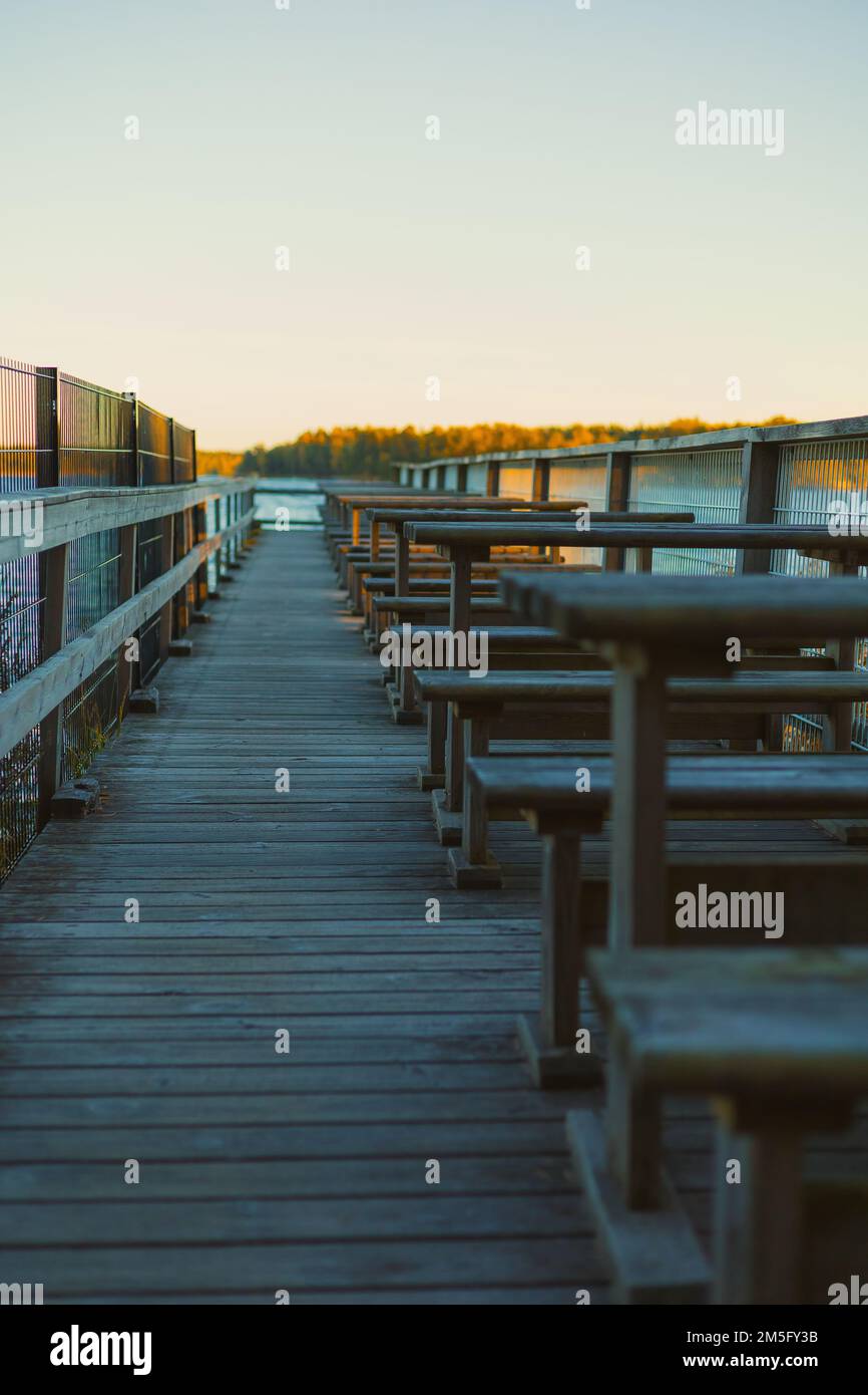 A vertical shot of benches row on wooden trail Stock Photo - Alamy