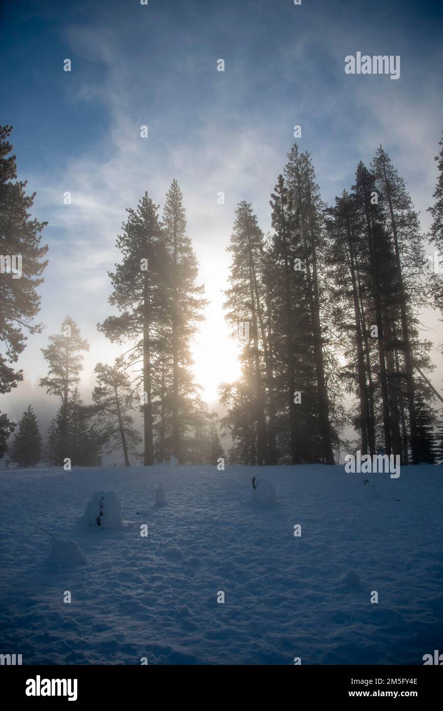 Donner State Park, is an excellent place to visit near Truckee, CA, to ...