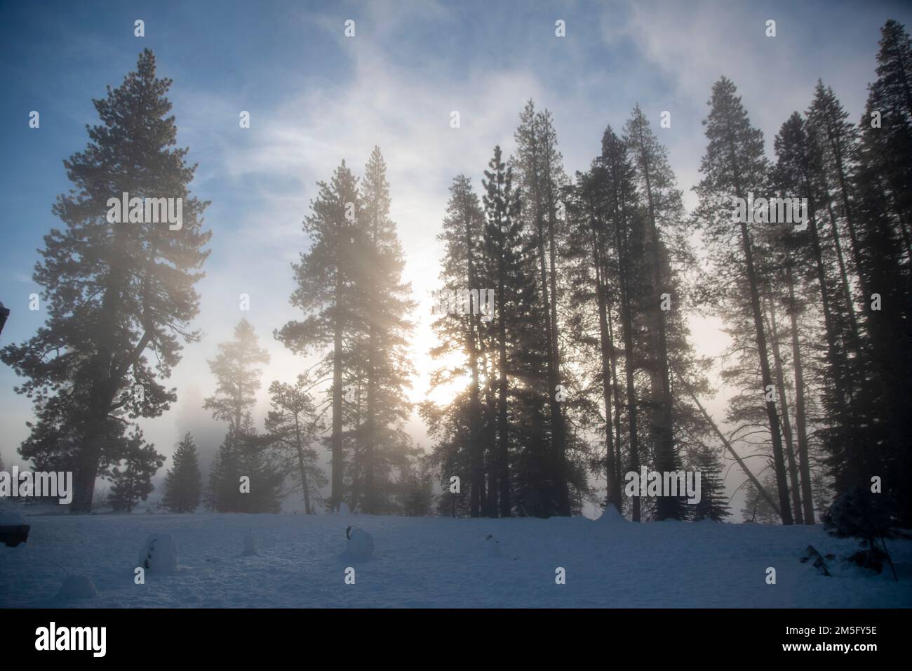 Donner State Park, is an excellent place to visit near Truckee, CA, to ...