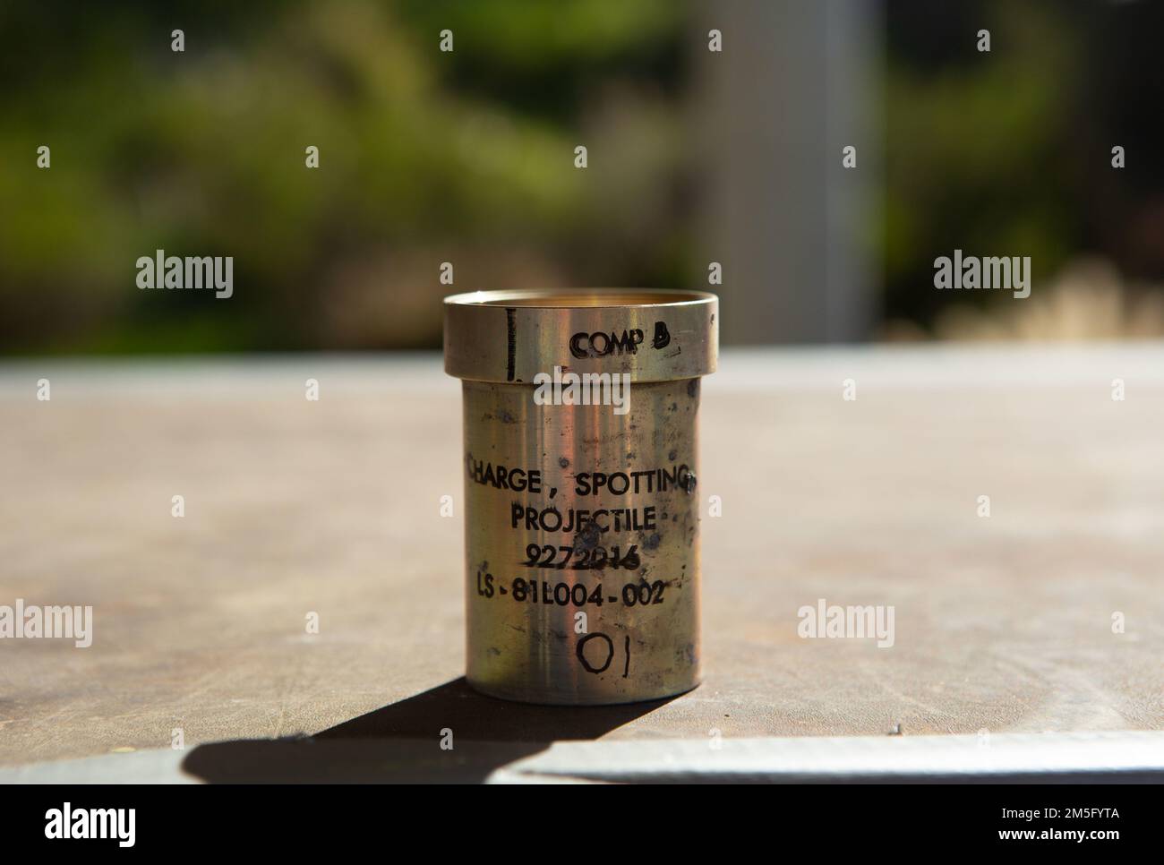 U.S. Marines with Explosive Ordnance Disposal, Headquarters and ...