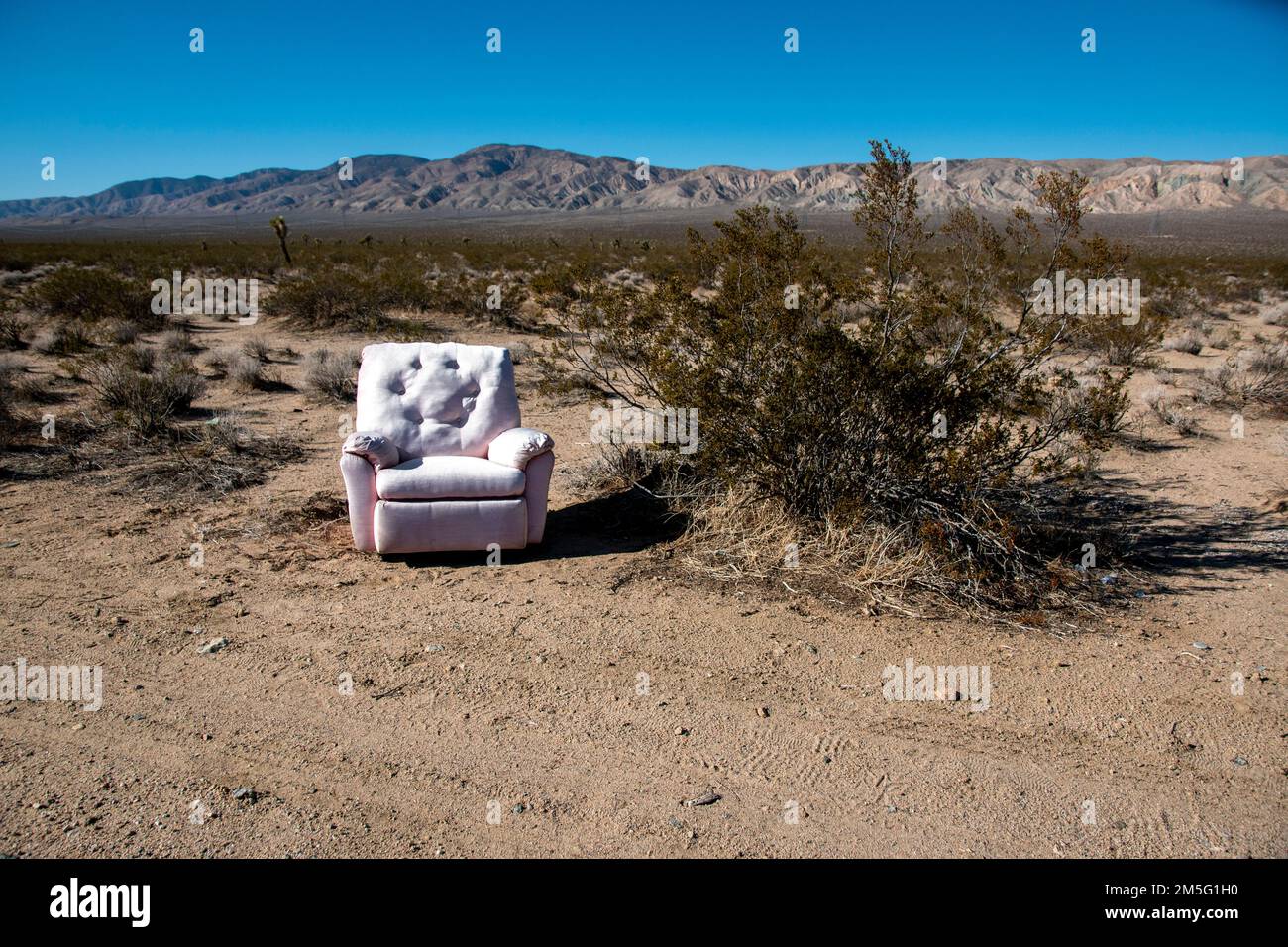 Things found in the desert hi-res stock photography and images - Alamy