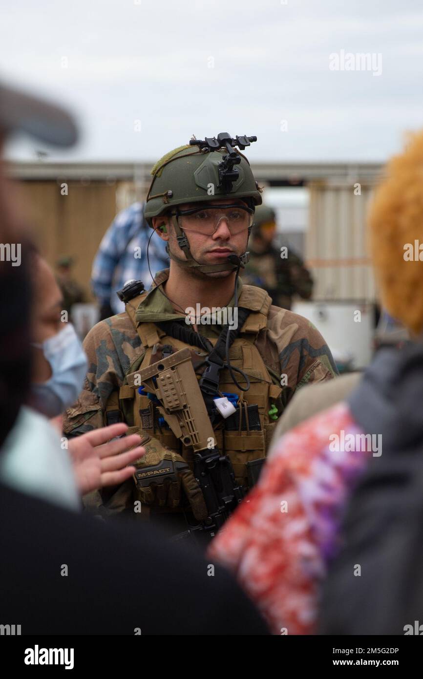 A Dutch Marine with Marine Squadron Carib, Netherlands Marine Corps ...
