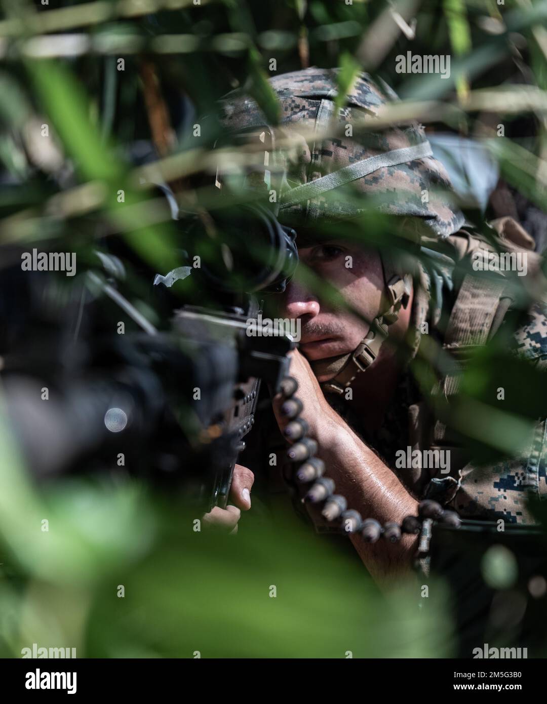 U.S. Marine Corps Pfc. Antonio Melendez, a motor transport operator ...