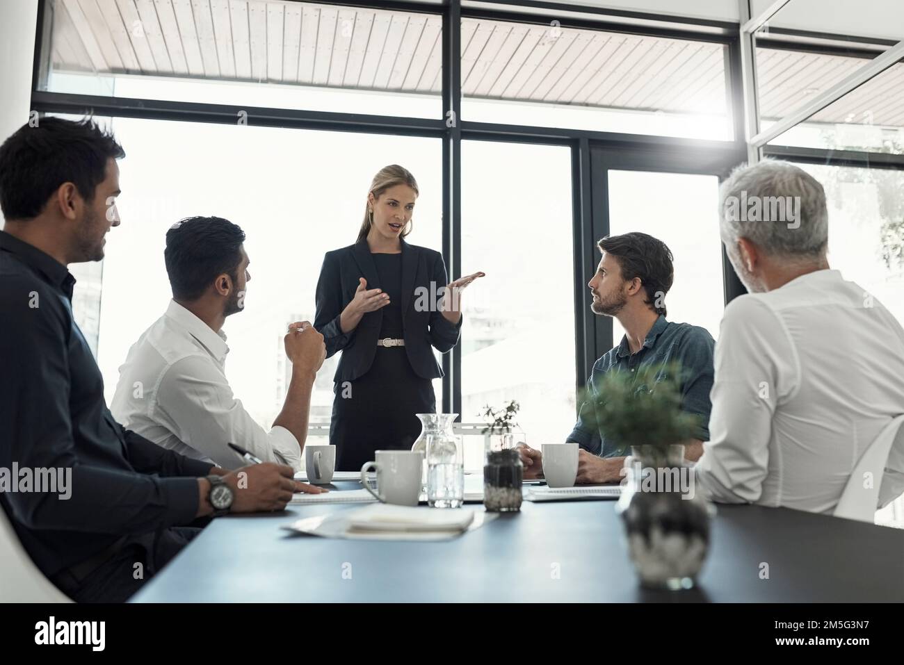 Bringing up some important talking points. a businesswoman talking to ...