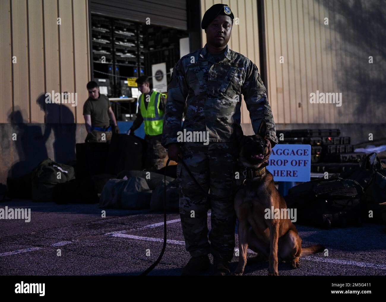 Squadron military working dog hi-res stock photography and images - Alamy