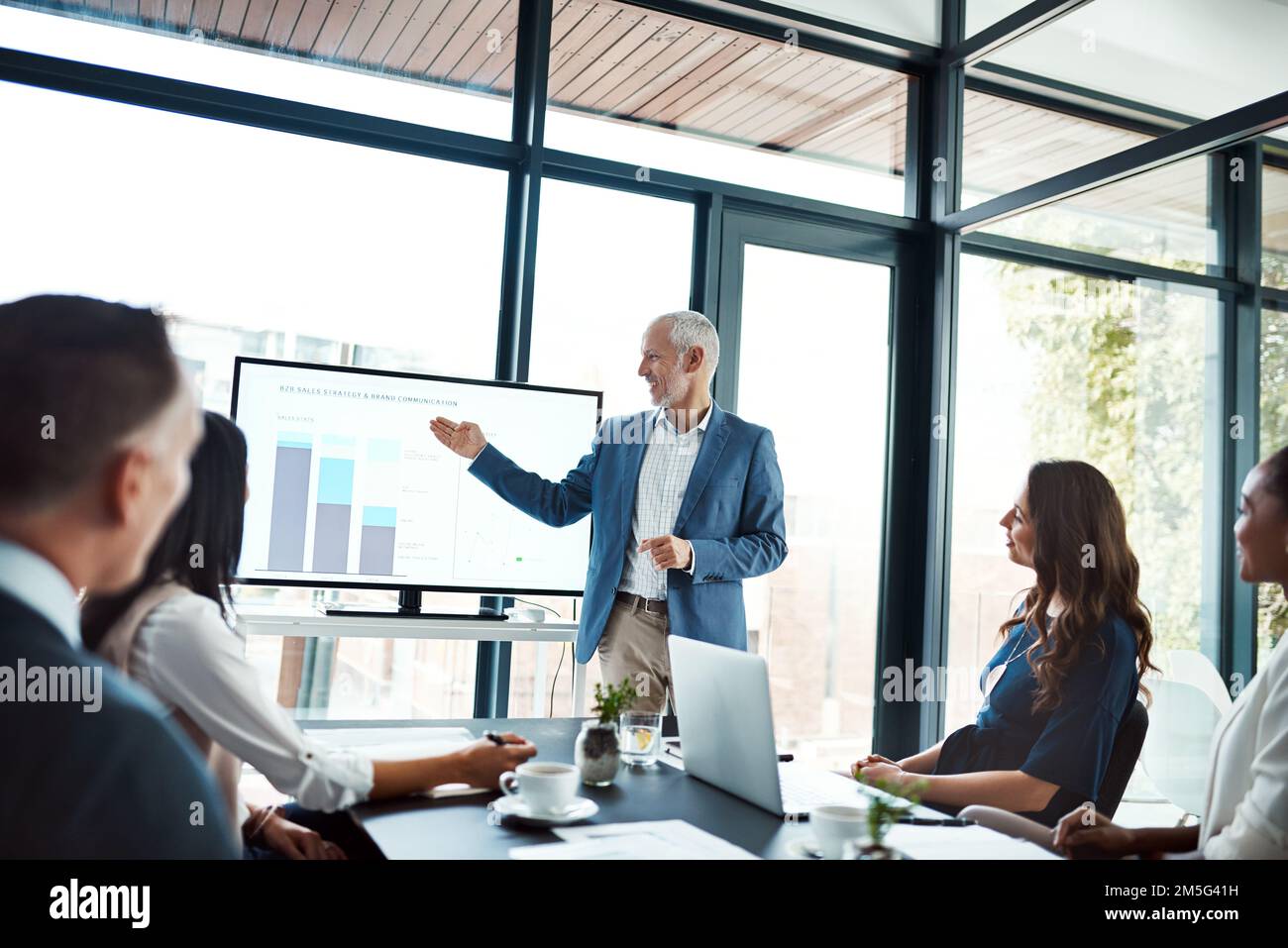 Business woman important presentation hi-res stock photography and ...