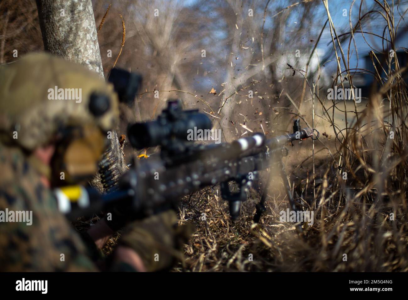 A U.S. Marine with Battalion Landing Team 1/5, 31st Marine ...
