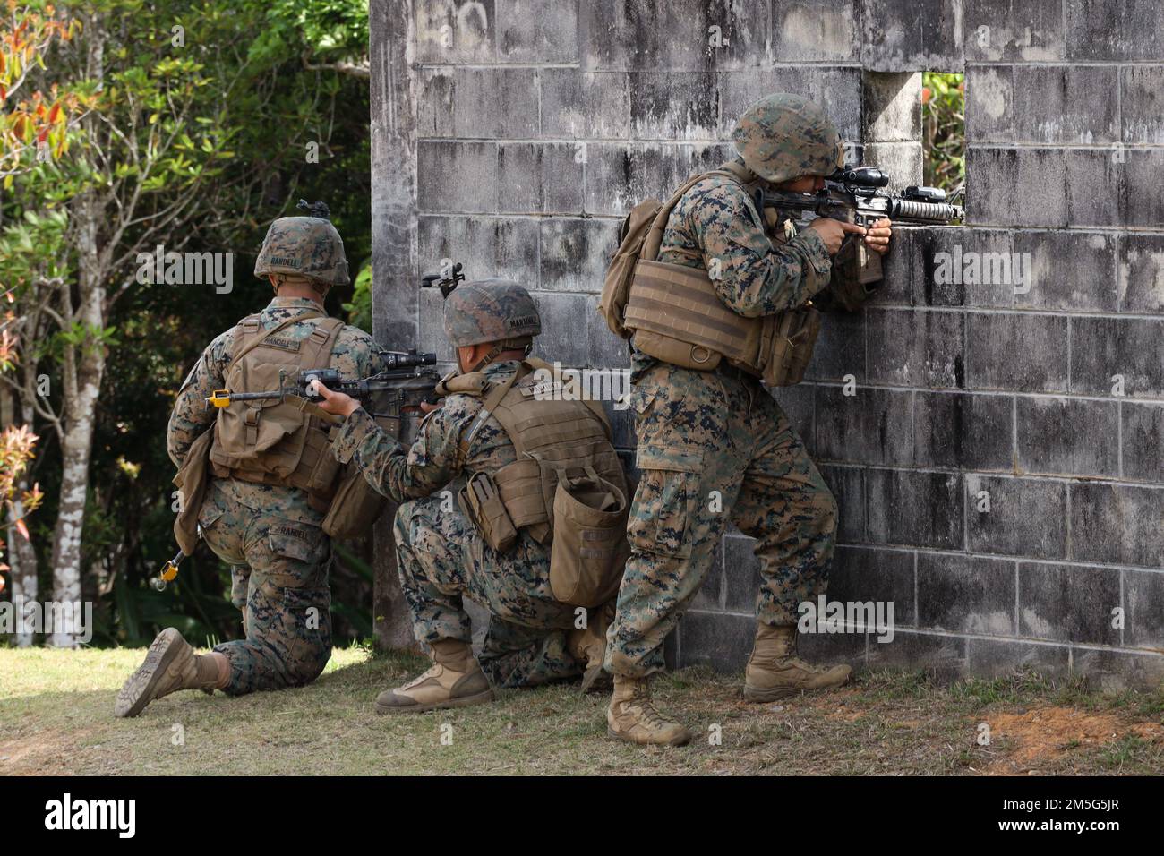 U.S. Marines with 1st Battalion, 3d Marines, 3d Marine Division ...