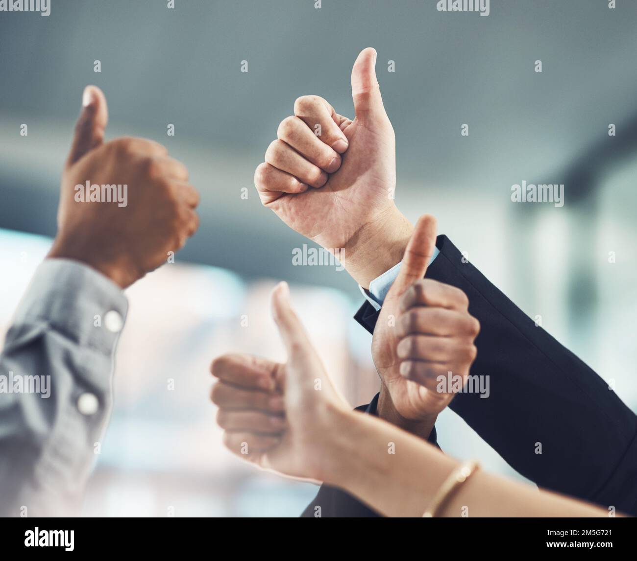 Formal vote hi-res stock photography and images - Alamy