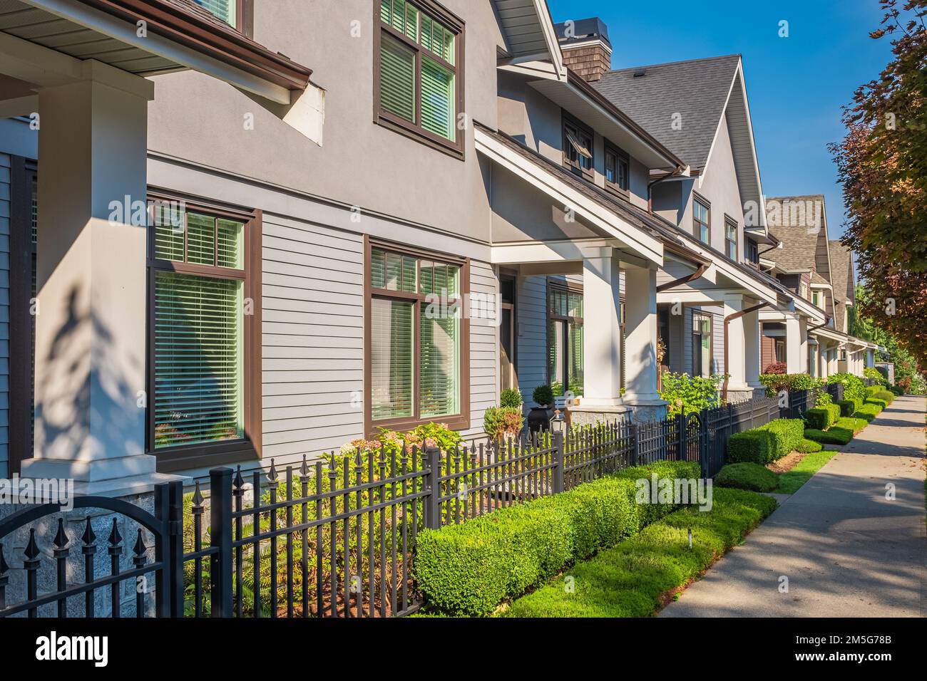 Houses in suburb at summer in the north America. Luxury houses with ...