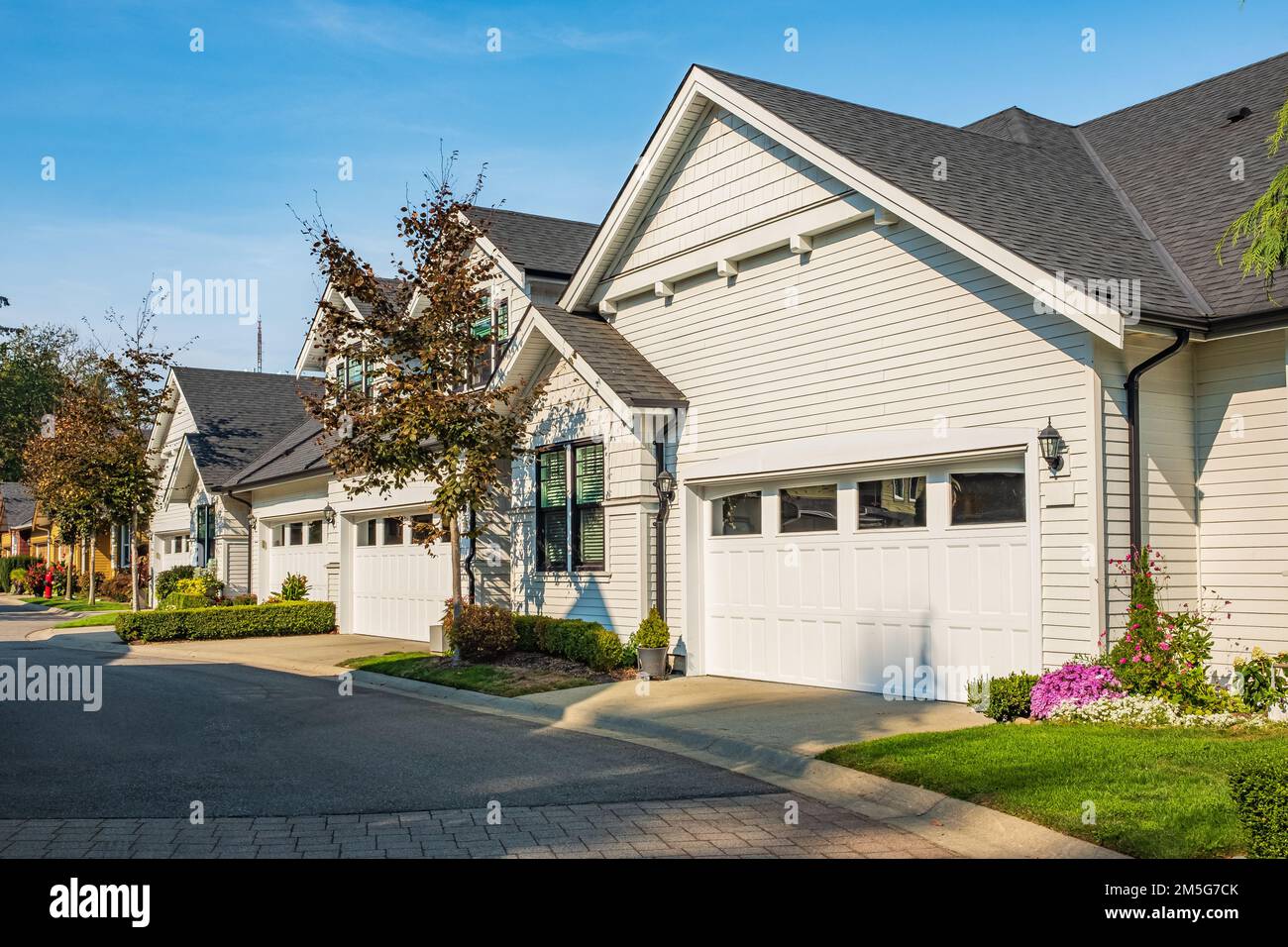 Houses in suburb at summer in the north America. Luxury houses with ...