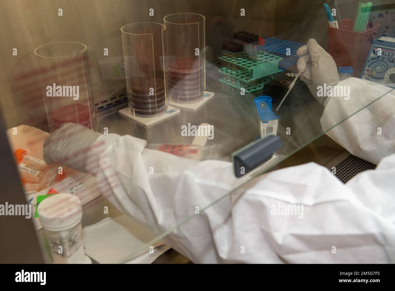 Test de virus hi-res stock photography and images - Alamy