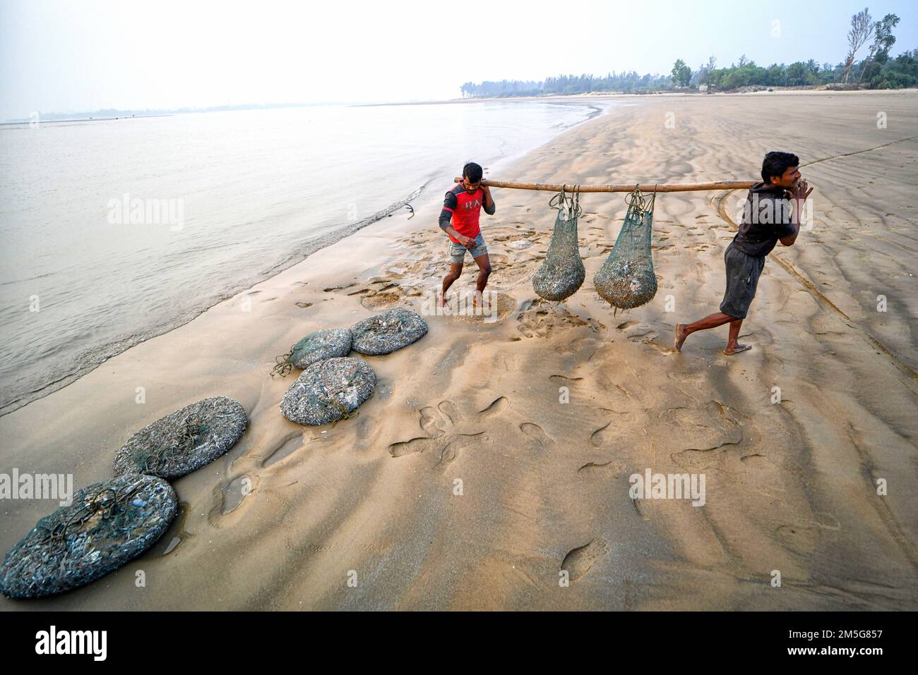 Fisherman seen carrying Fish buckets to processing & sorting hub at the ...