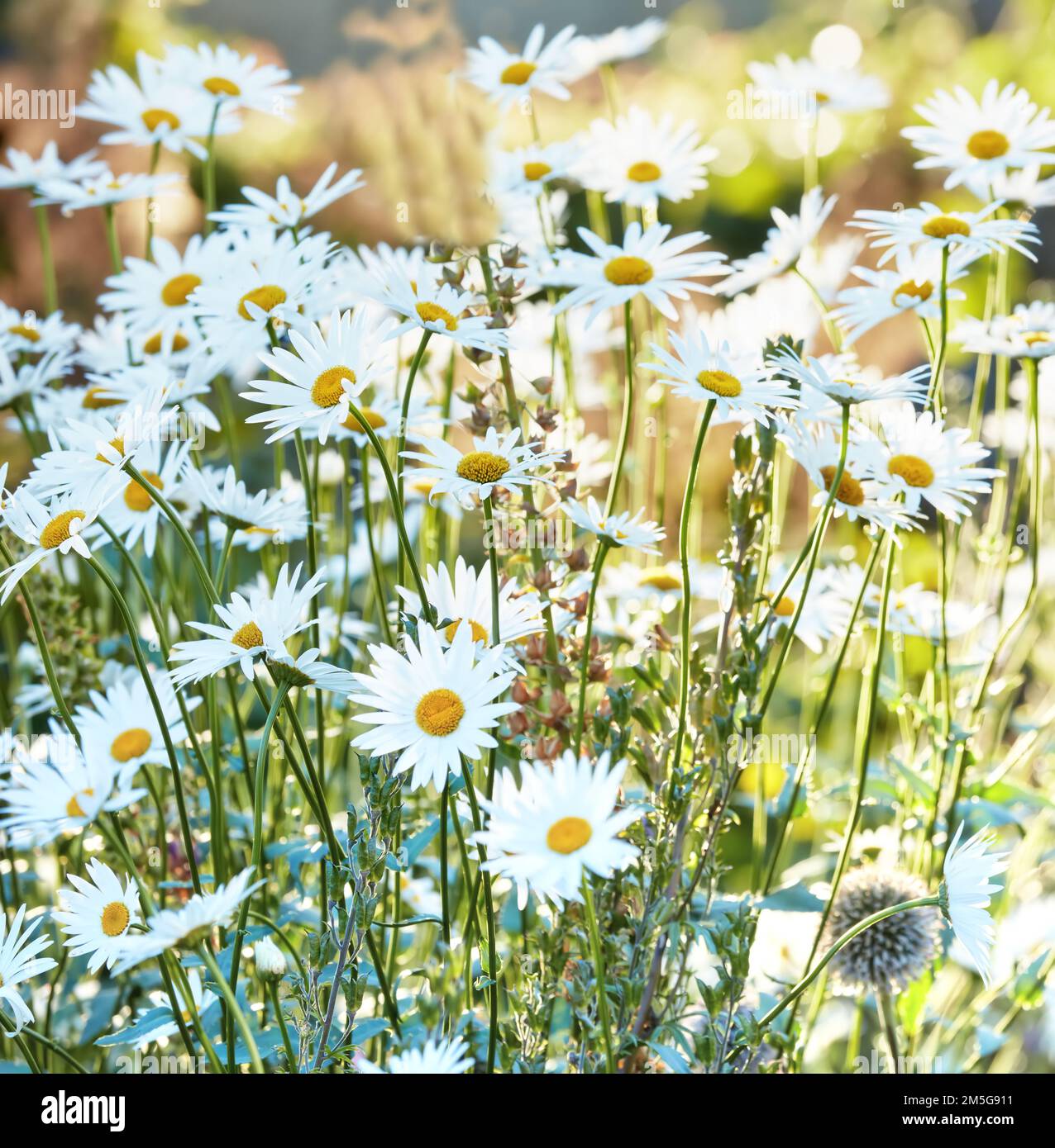 Ecology outside hi-res stock photography and images - Alamy