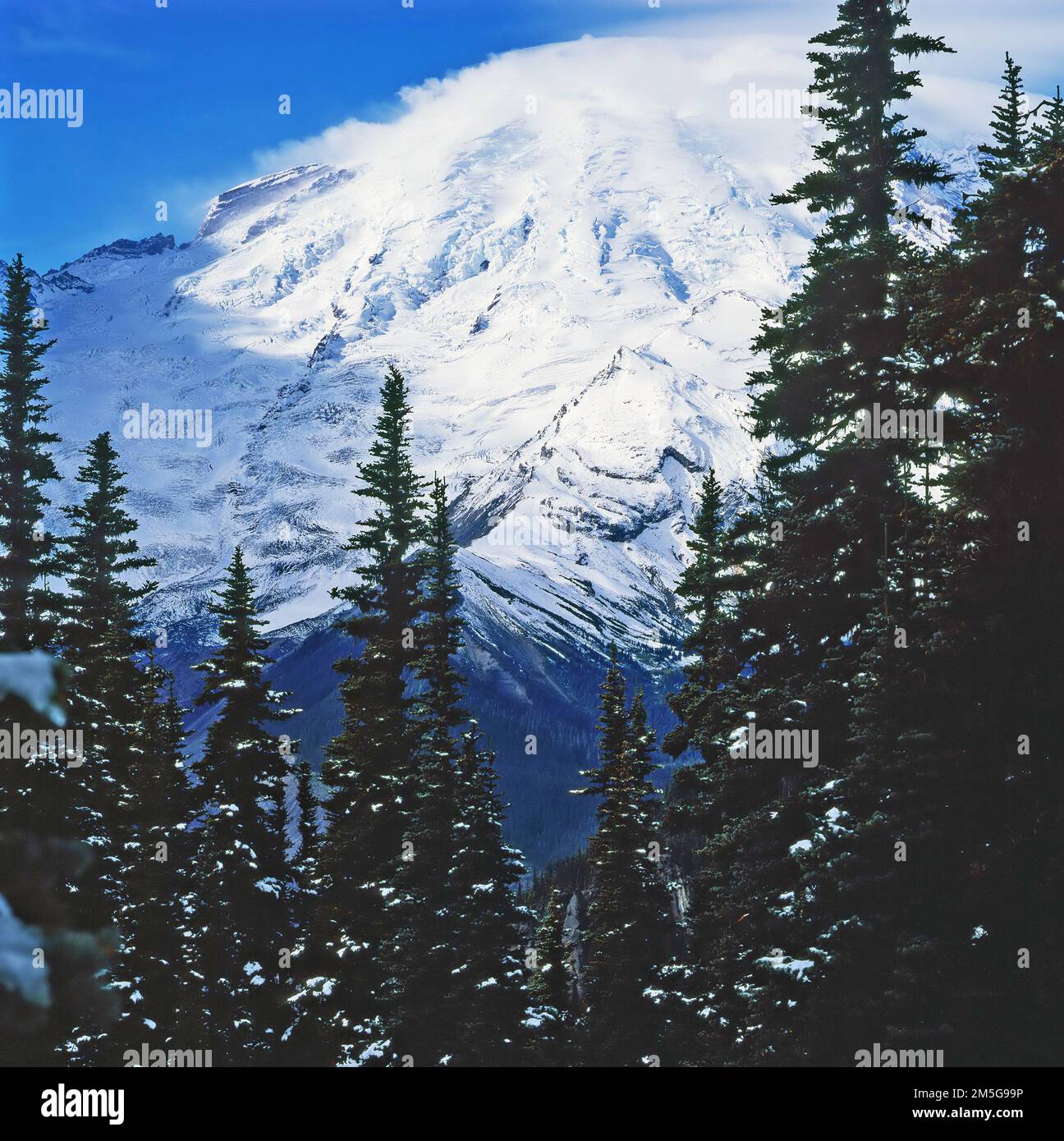 Mt rainier in cascade range hi-res stock photography and images - Alamy