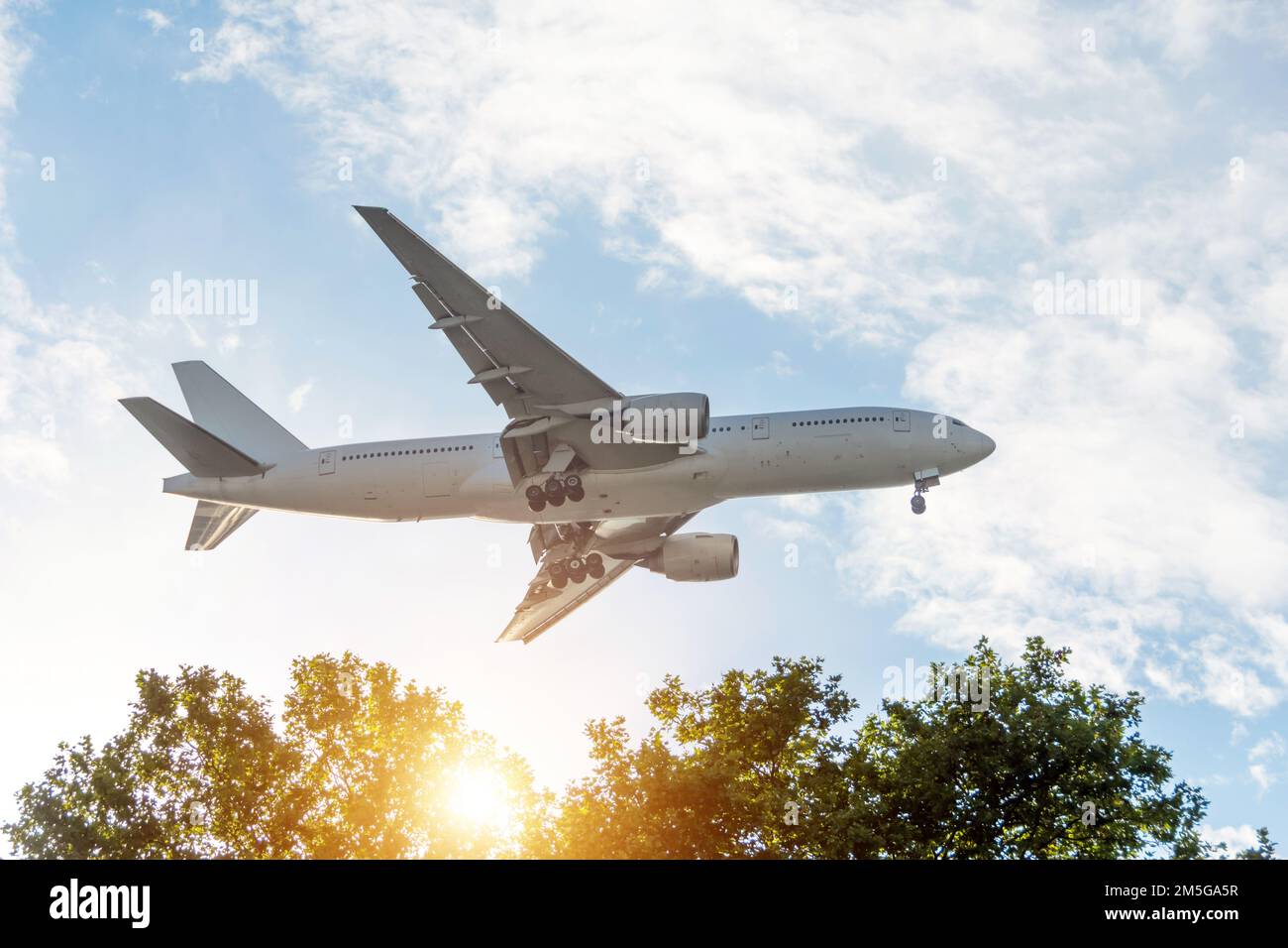 Business jet over trees hi-res stock photography and images - Alamy