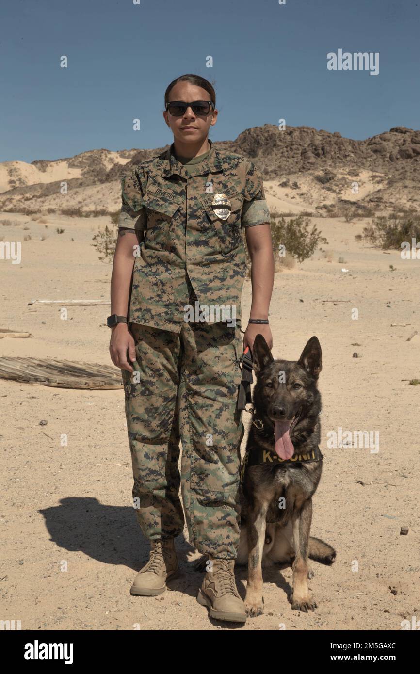 U.S. Marine Corps Cpl. Briana DeJesus, a military working dog (MWD ...