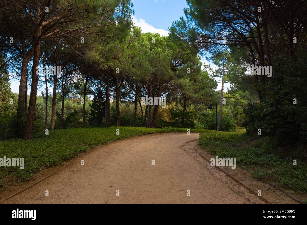 Dirt trekking path in the forest. Landscape architecture concept photo ...