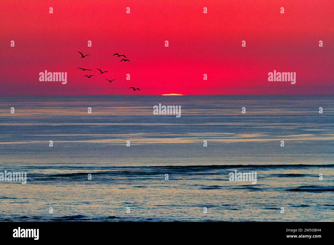 Refraction and reflection at sunset on the horizon, flock of birds ...