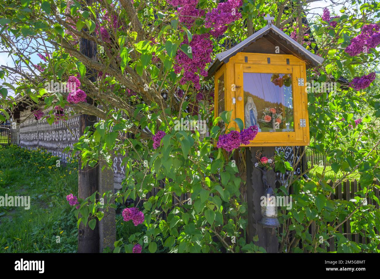 Small statue of the Virgin Mary and flowering lilac, Cicmany, Zilinsky ...