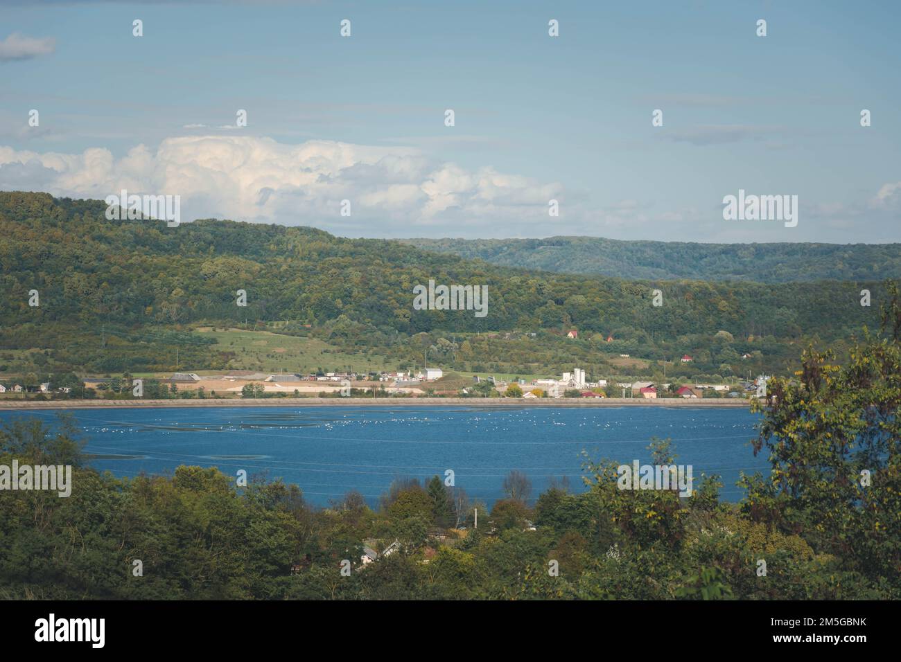 A scenic view of green trees on shore of Valcelele lake in Arges county ...