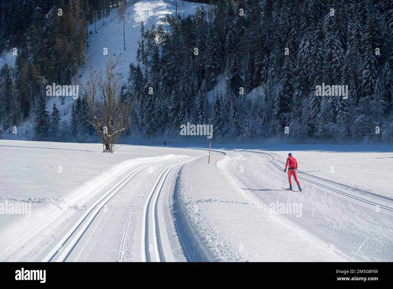 Cross country skiing circuit hi-res stock photography and images - Alamy