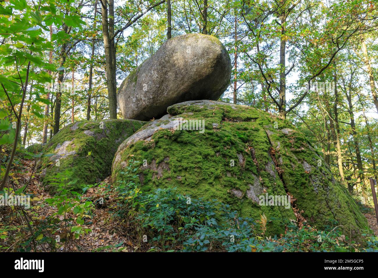 Granite block, Wackelstein, Blockheide nature Park, Gmuend, Waldviertel ...