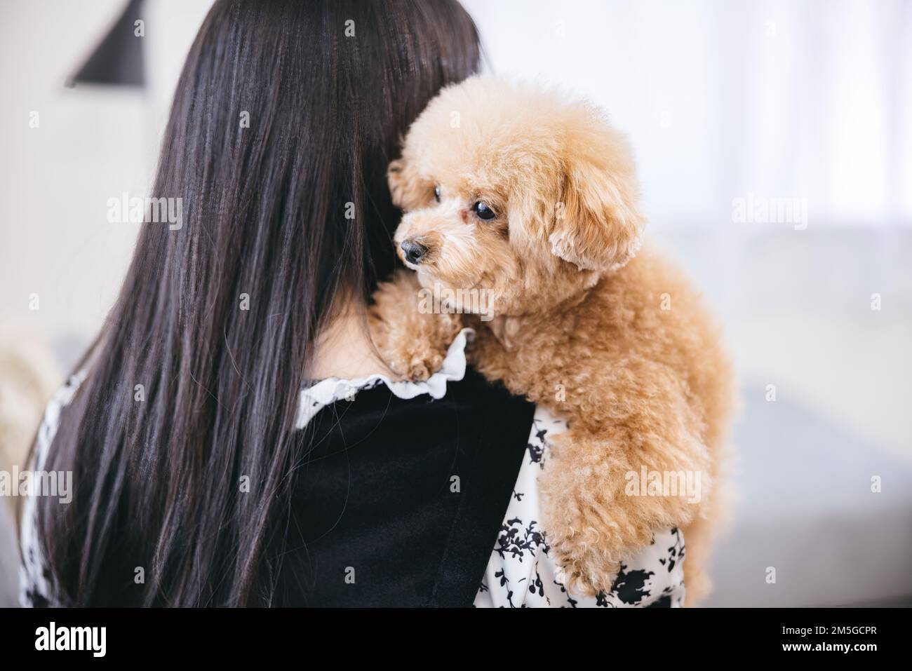 Close up of a girl hugging a dog hi-res stock photography and images ...