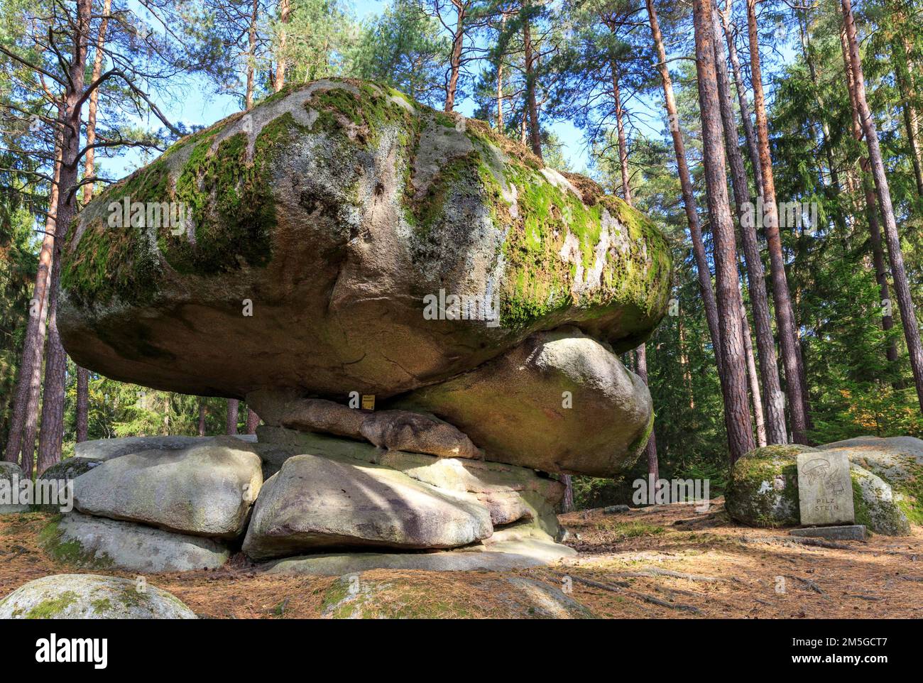 Granite block, Blockheide nature Park, Gmuend, Waldviertel, Lower ...