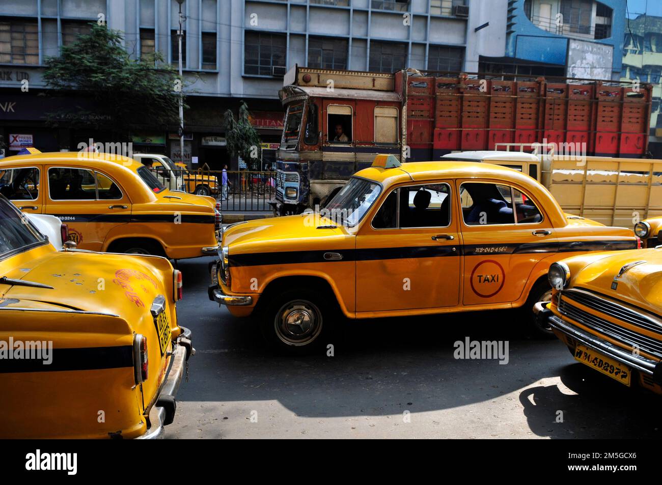 Yellow Ambassador taxis in Calcutta, India Stock Photo - Alamy