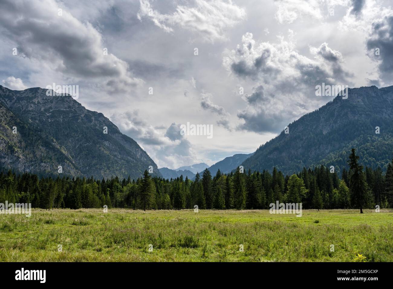 View from Ettaler Forst to the Ammergebirge, district of Garmisch ...