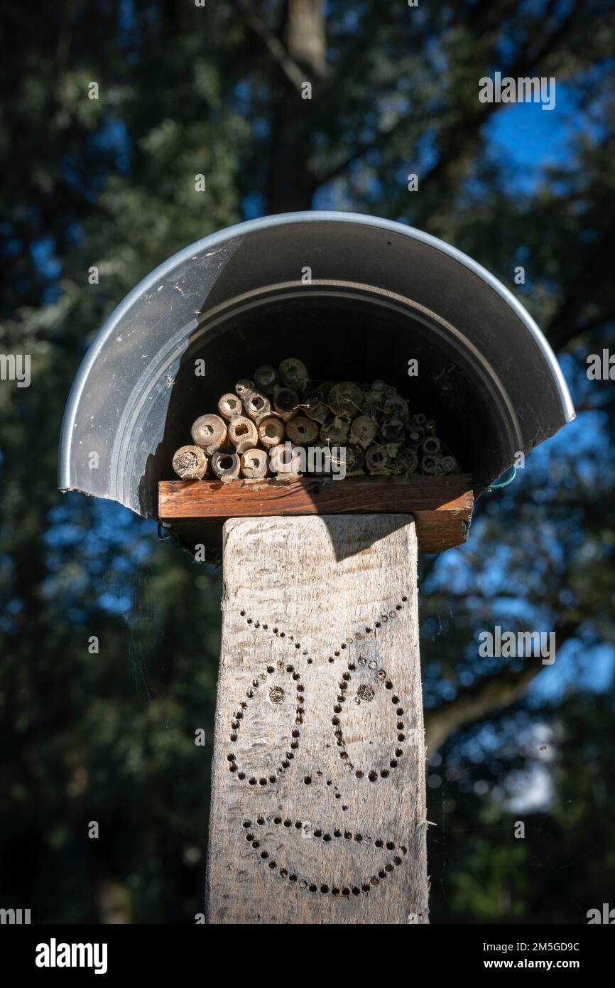 Insect hotel, nesting sites for wild bees, Baden-Wuerttemberg, Germany ...